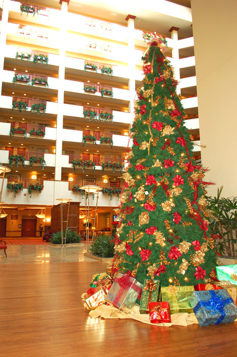 Where to Get Your Christmas Tree | Destination Rogers - Destination Rogers