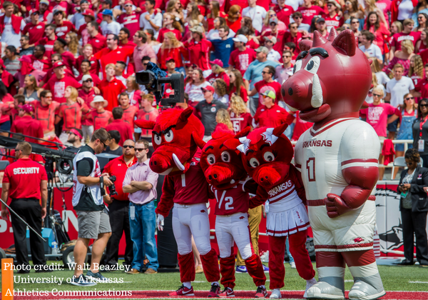 Call Rogers Home When You Call the Hogs - Destination Rogers