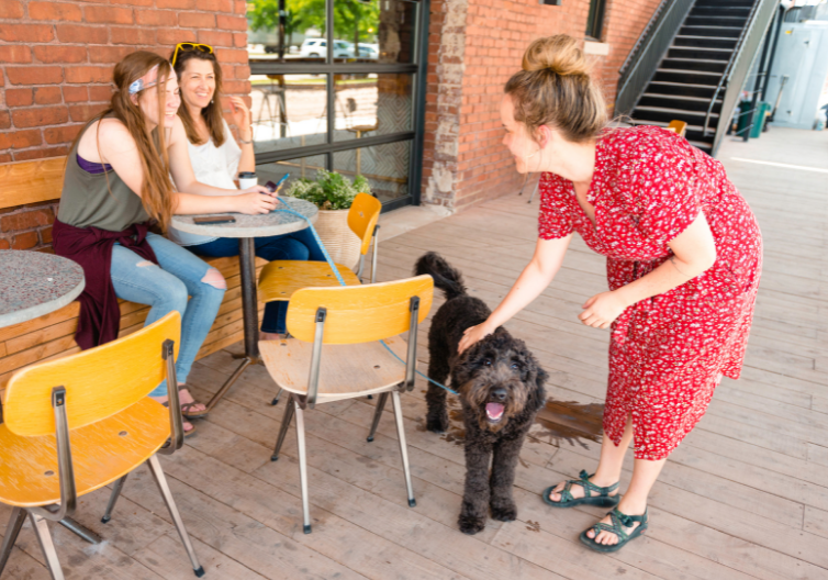 Furry Friends Are Welcome | Destination Rogers - Destination Rogers